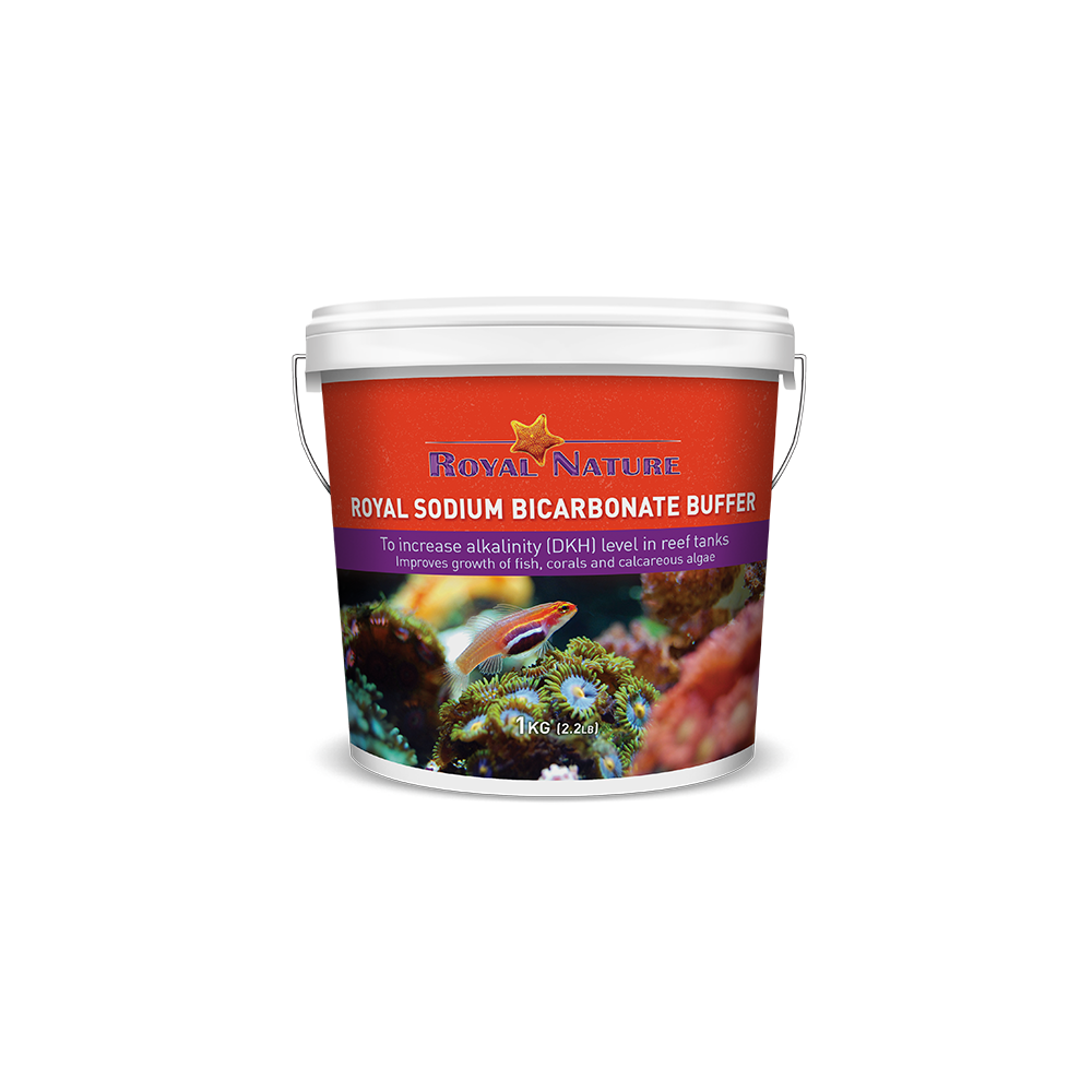 Royal Sodium Bicarbonate Buffer 1 kg. | MEWAPRO, 14,50